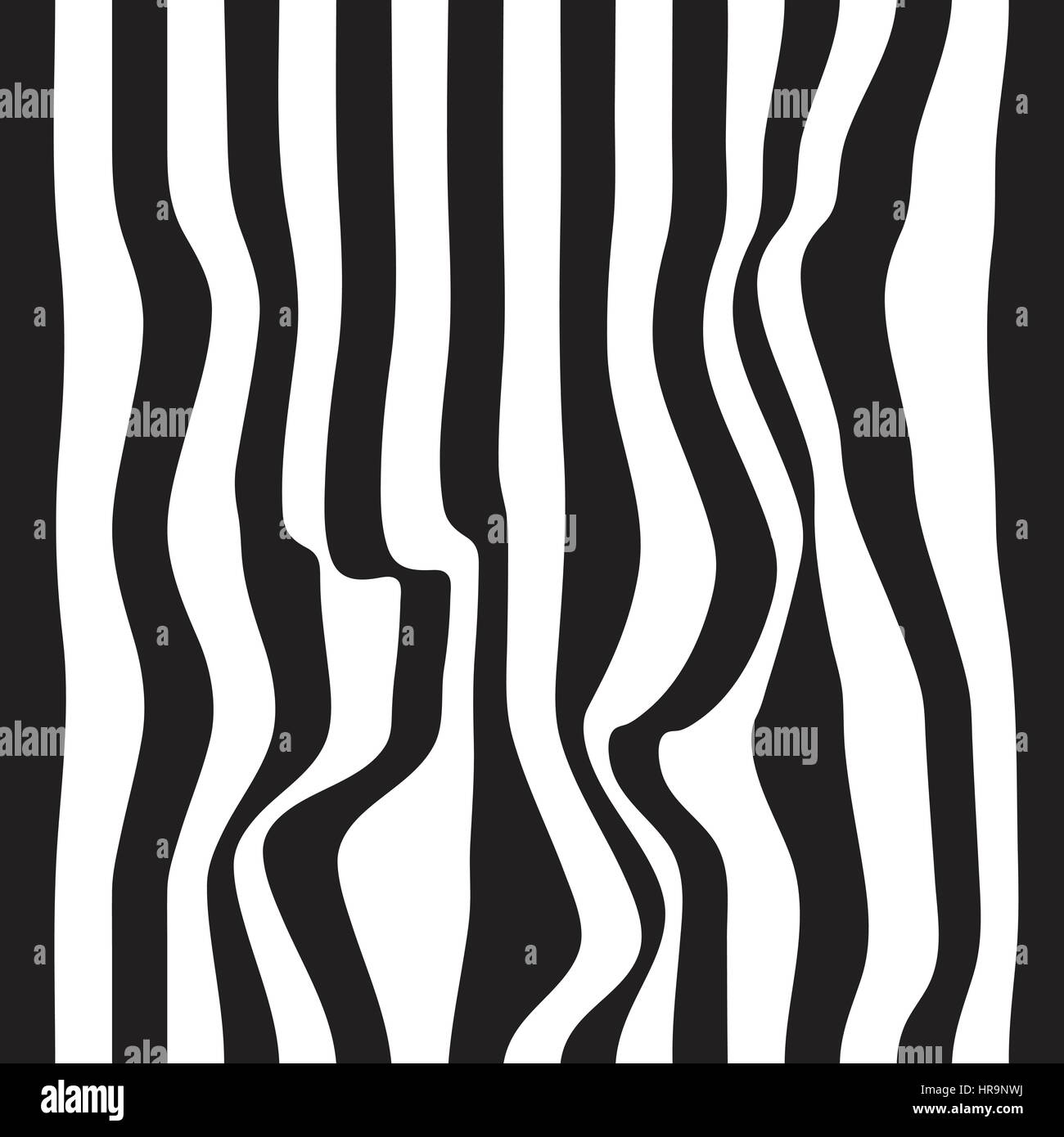 Striped abstract background. black and white zebra print. Vector ...