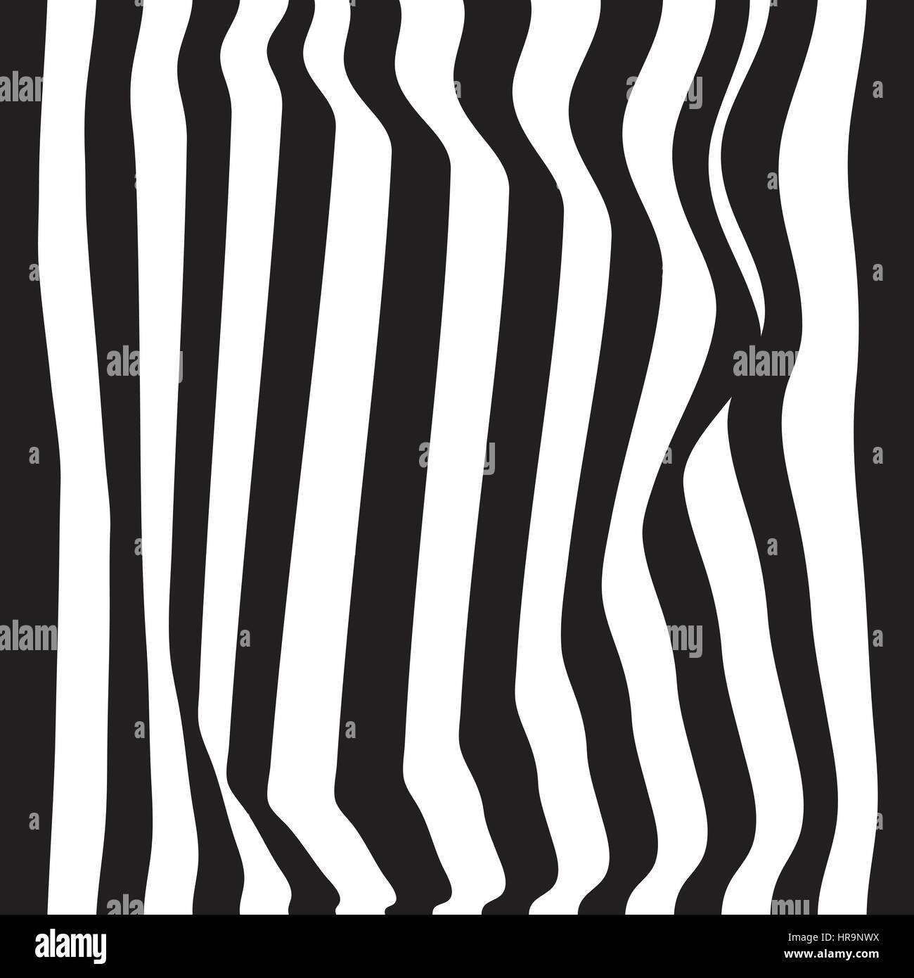 Striped abstract background. black and white zebra print. Vector ...