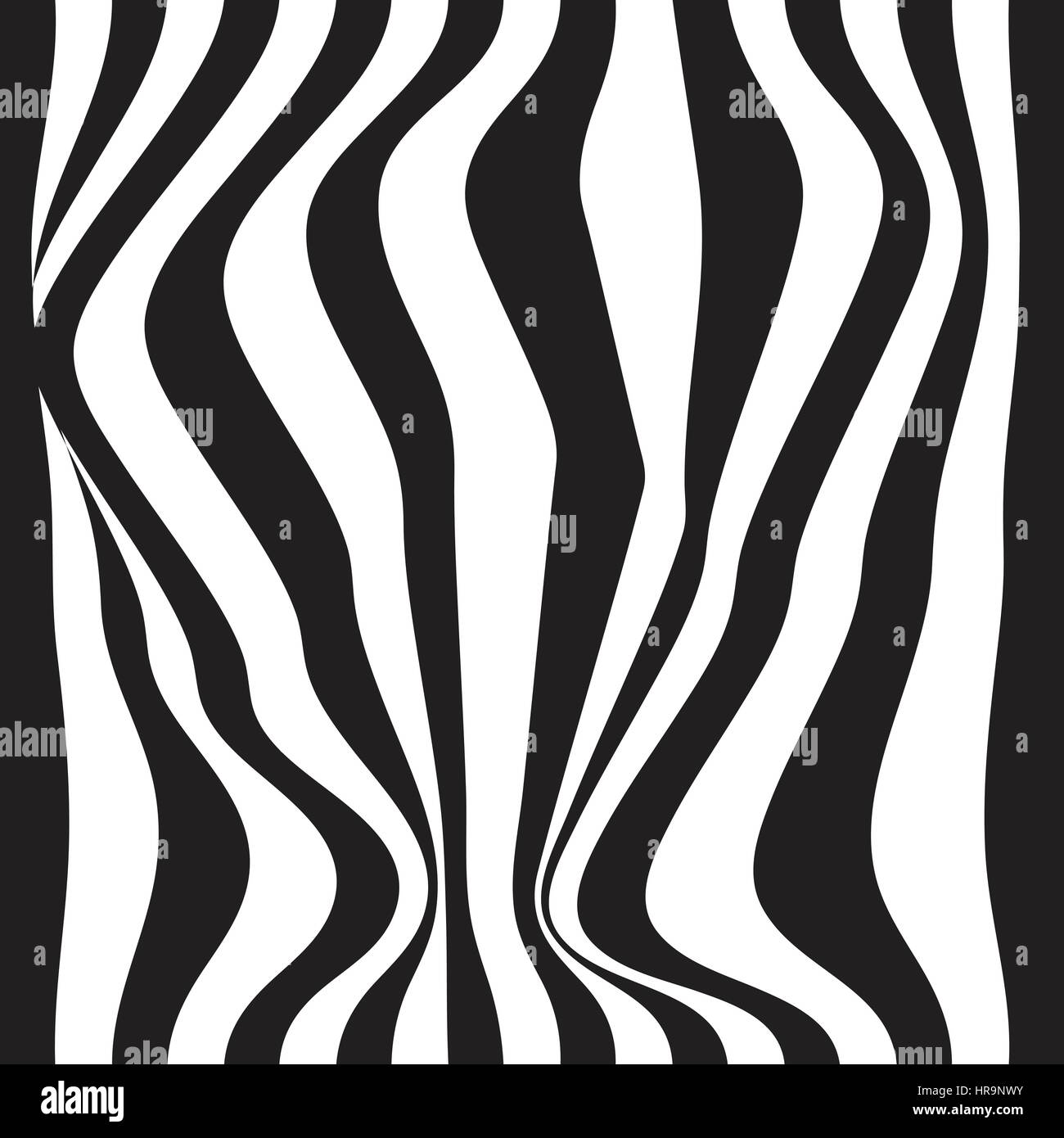 Striped abstract background. black and white zebra print. Vector ...