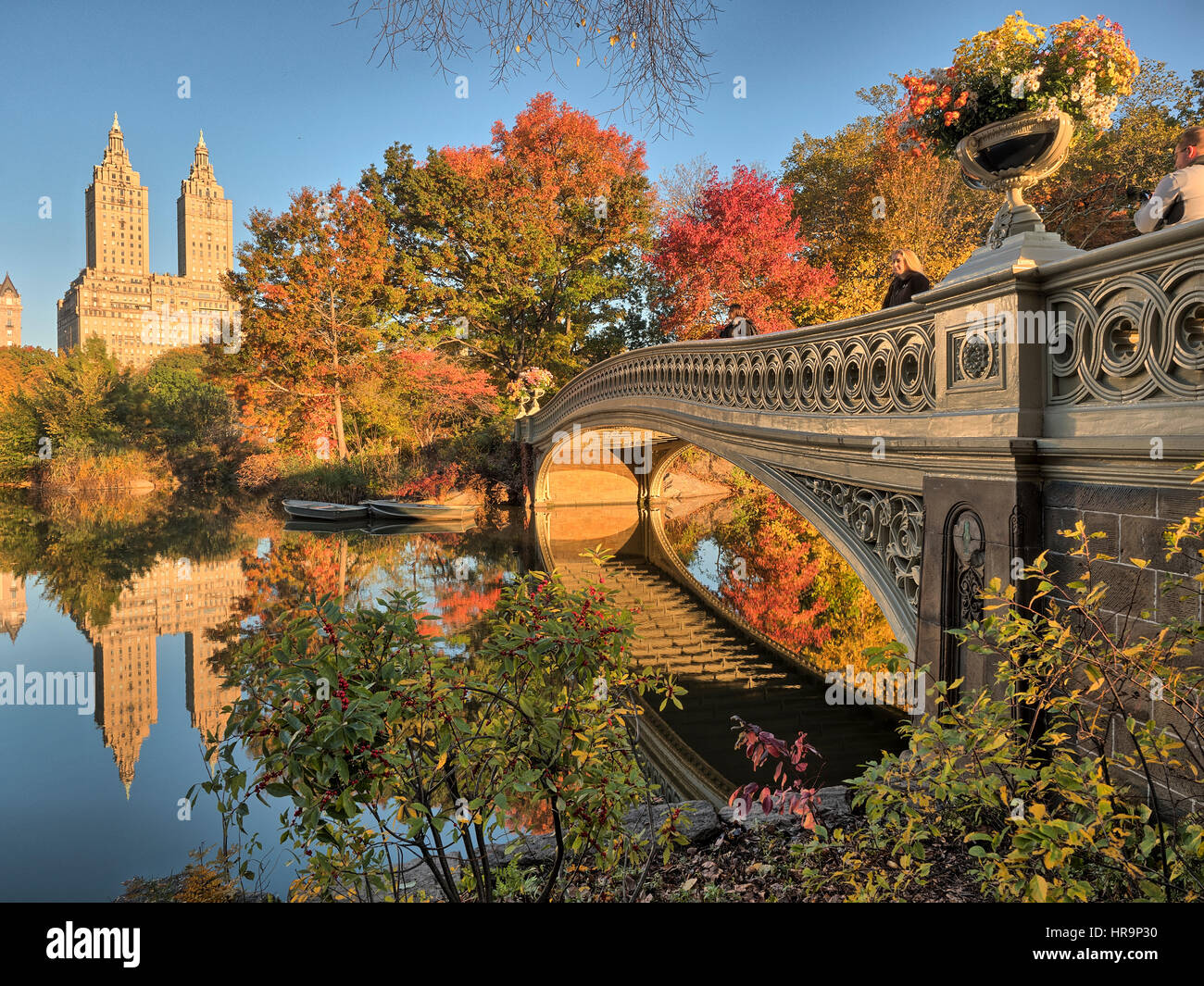 The Bow Bridge is a cast iron bridge located in Central Park, New York ...