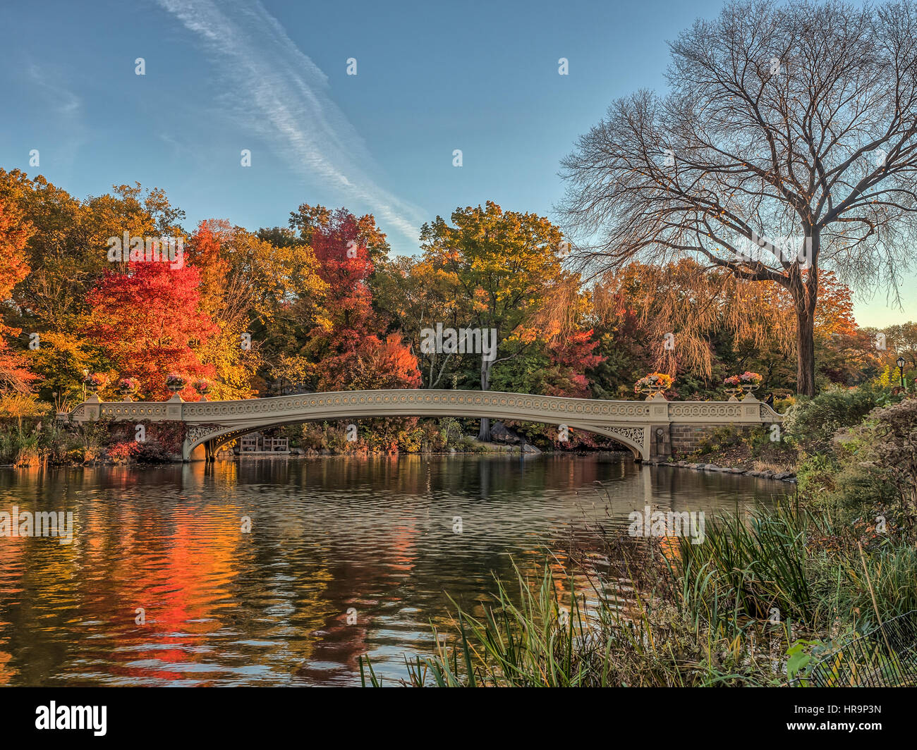 The Bow Bridge is a cast iron bridge located in Central Park, New York ...