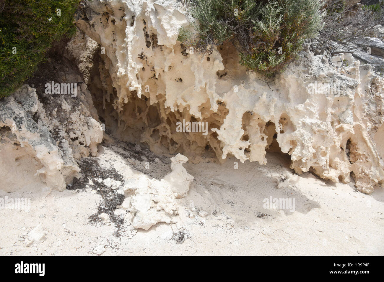 Rough textured limestone rock on shoreline at Rottnest Island in ...