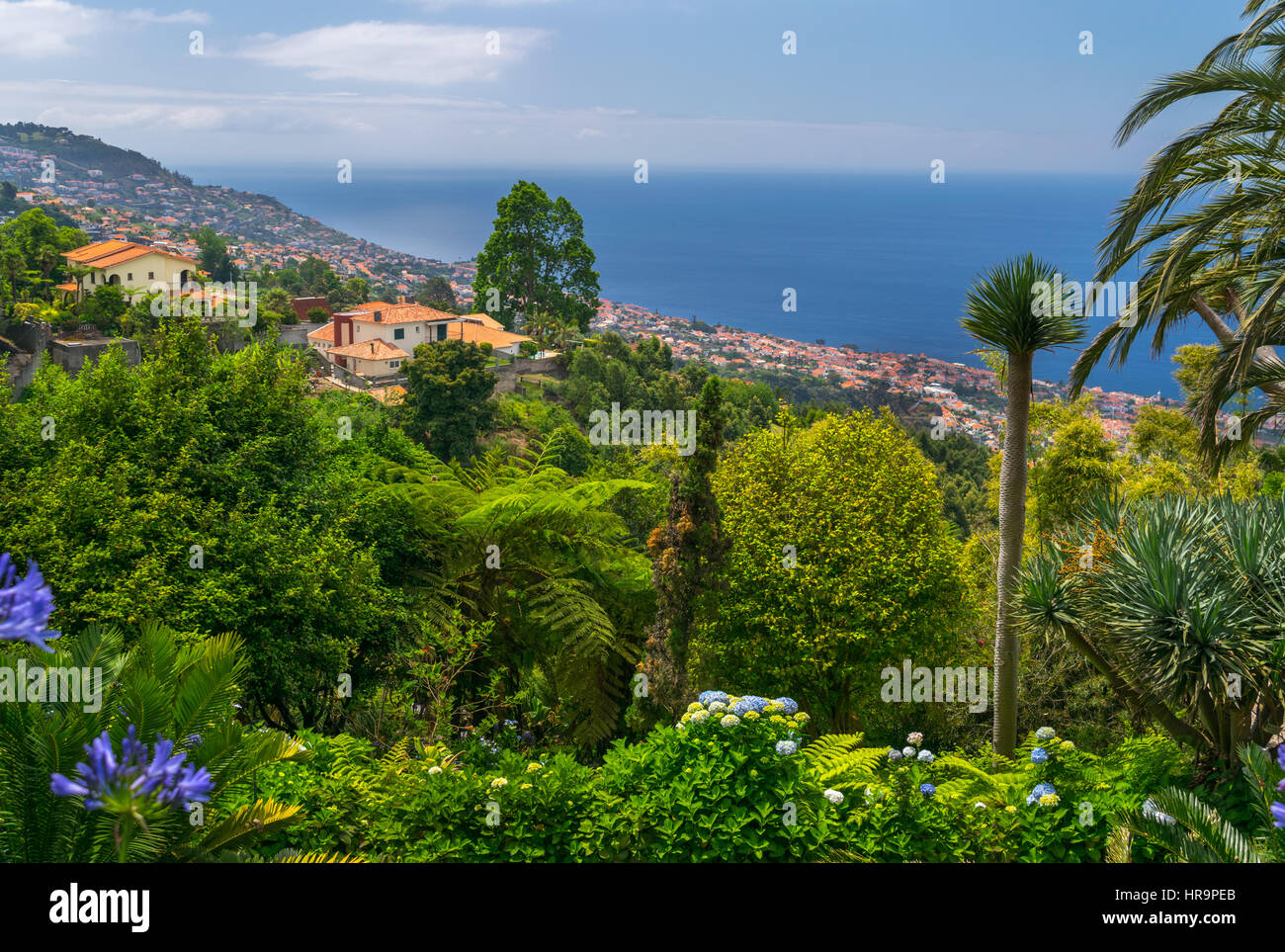 Madeira travel guide hi-res stock photography and images - Alamy