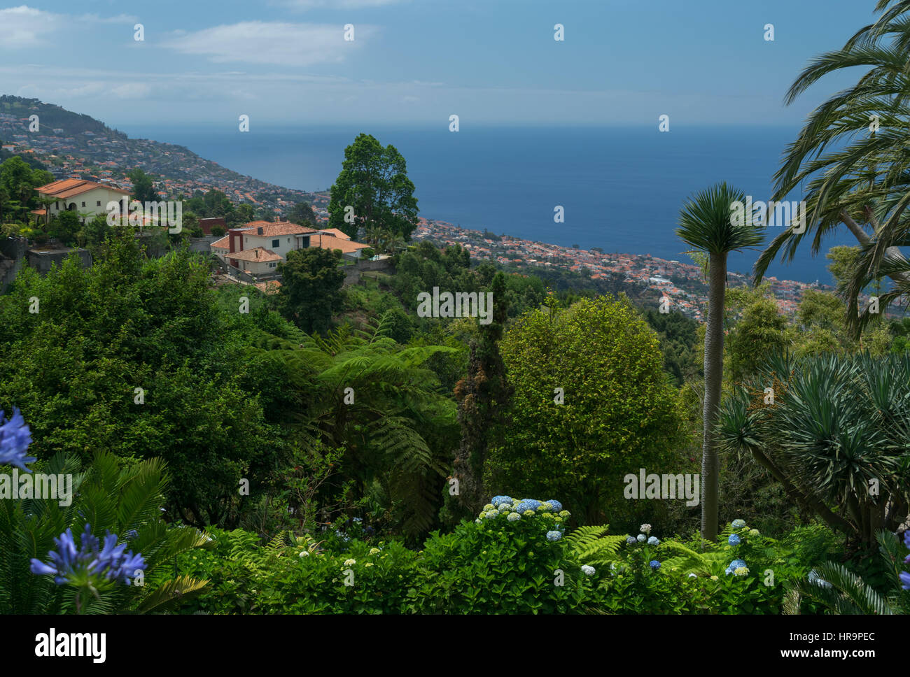 Tropical Garden, Monte, Funchal, Madeira, Portugal, Europe…Walking in ...