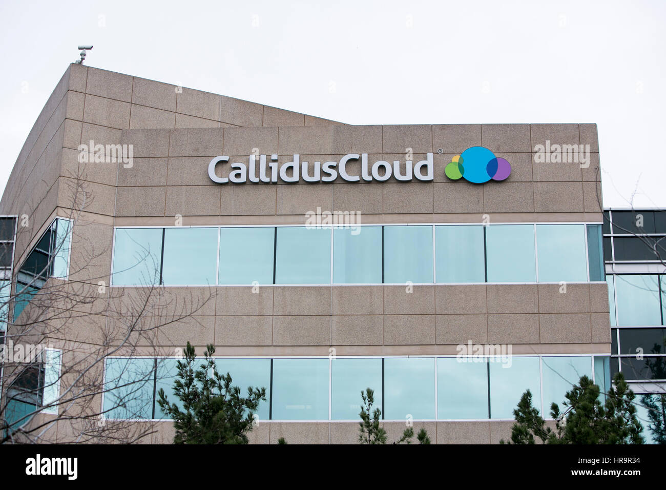 Calliduscloud Logo