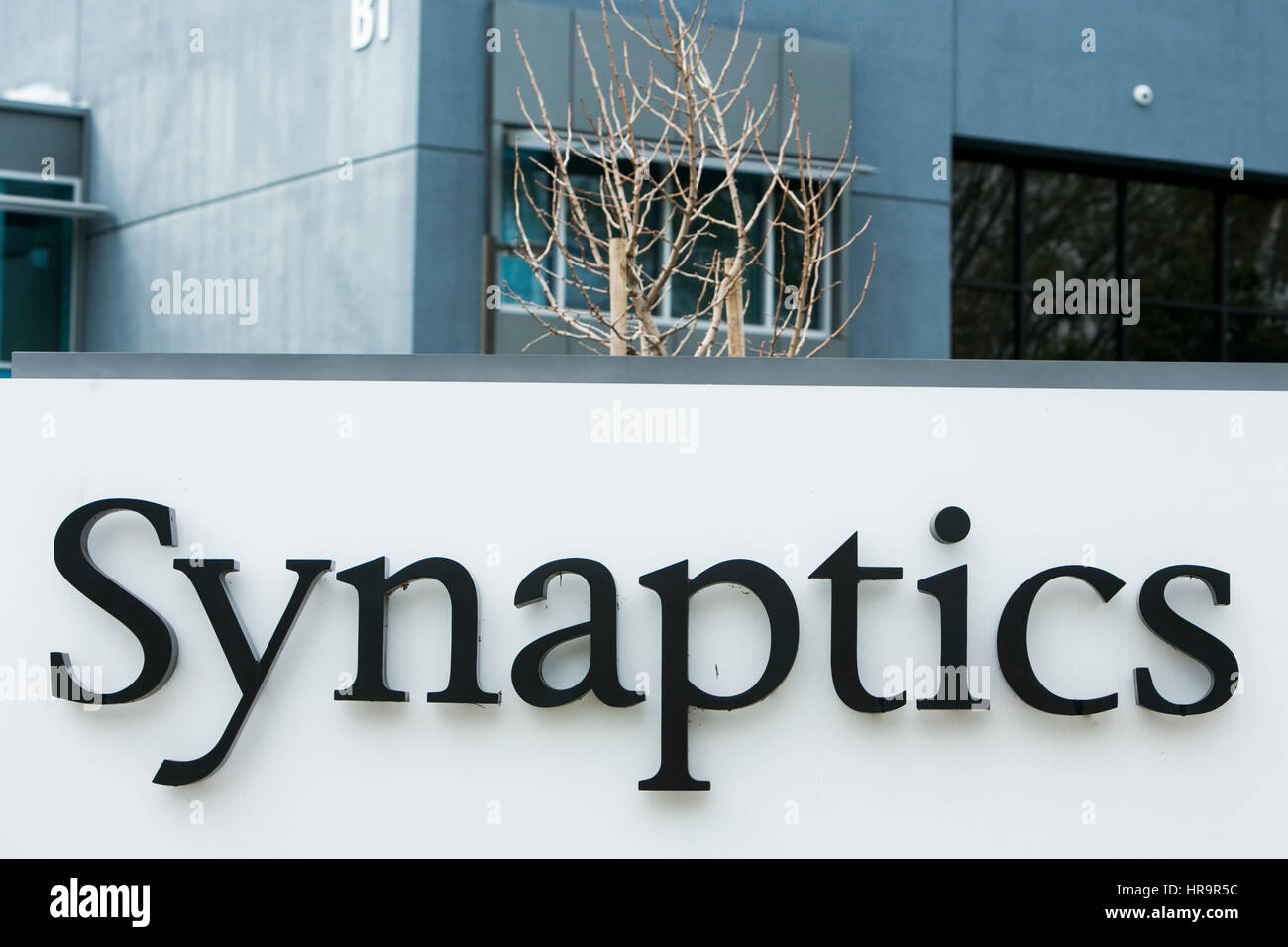 Synaptics Logo
