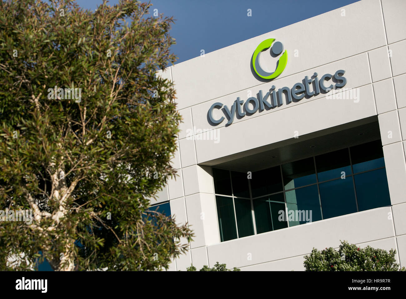 Cytokinetics hi-res stock photography and images - Alamy
