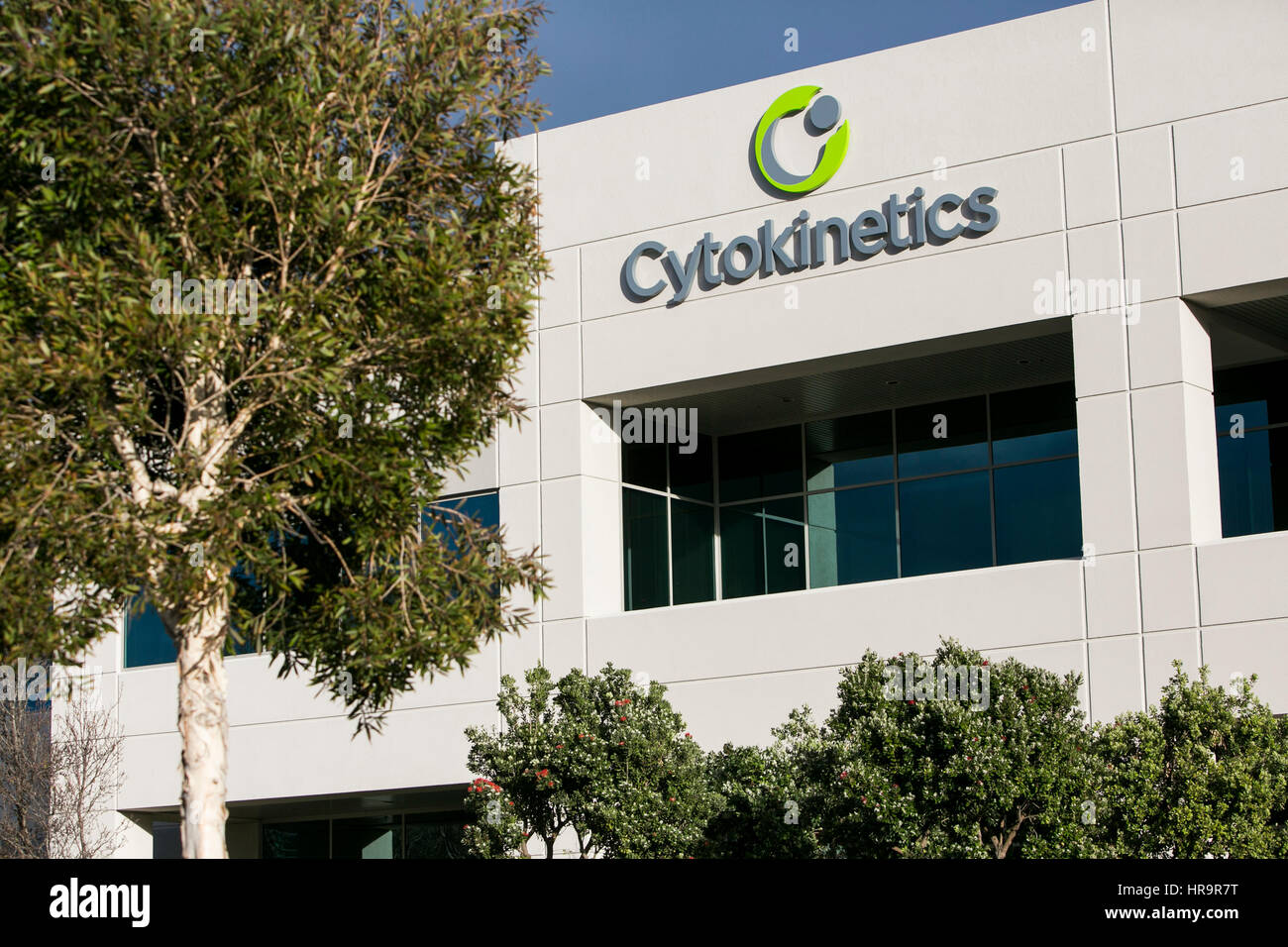 Cytokinetics hi-res stock photography and images - Alamy
