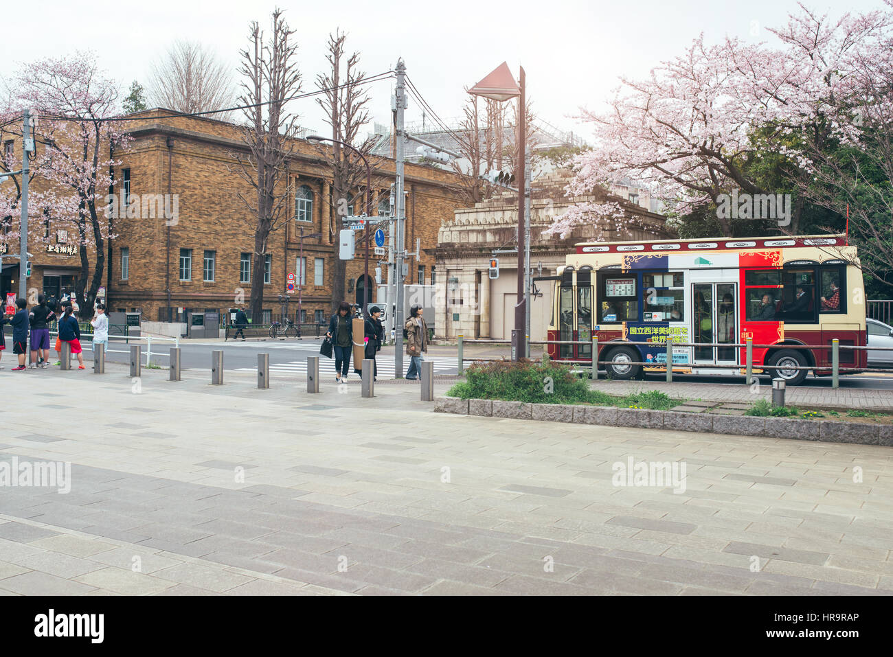 Cherry tree on street hi-res stock photography and images - Alamy