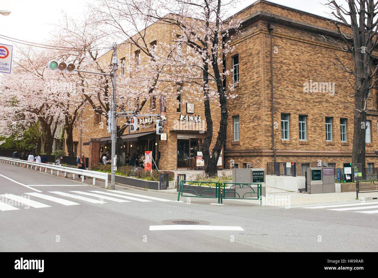 Cherry tree on street hi-res stock photography and images - Alamy