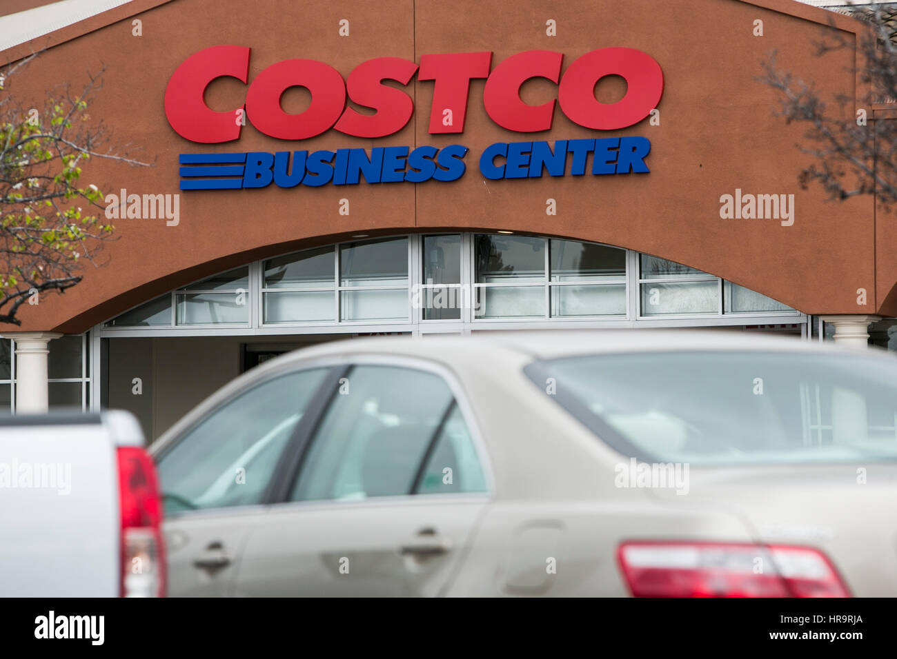 Costco Logo Vector