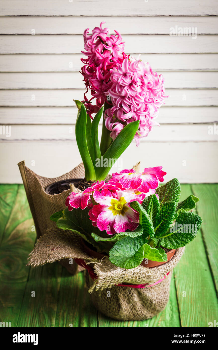 Pink spring flowers Stock Photo - Alamy
