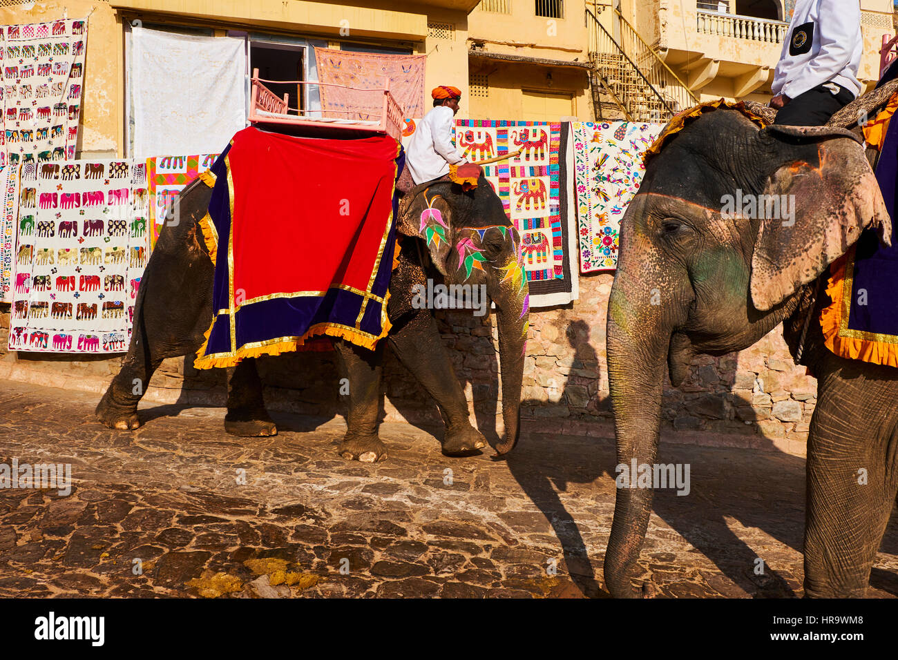 India, Rajasthan, Jaipur the pink city, Amber fort Stock Photo - Alamy