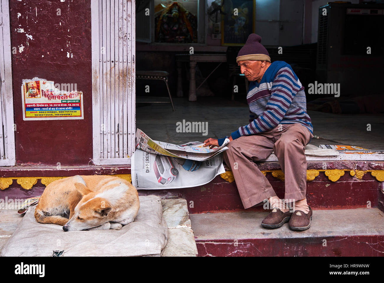India, Rajasthan, Jodhpur, the blue city Stock Photo - Alamy