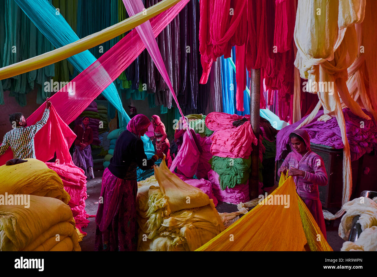 India, Rajasthan, Sari Factory, Textile are dried in the open air ...