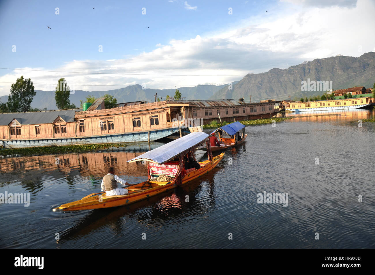 View House Boat and Shikara, Dal lake in an evening, Kashmir India ...