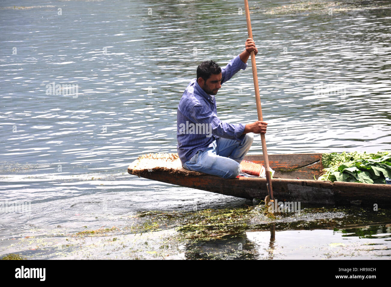 Kashmir Worker, (Photo Copyright © by Saji Maramon Stock Photo - Alamy