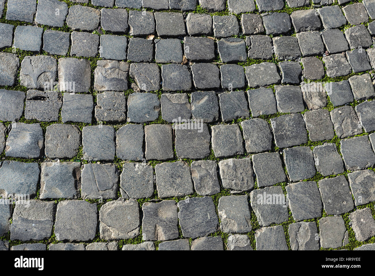 Closeup of a roman stone walkway in Rome, Italy Stock Photo - Alamy