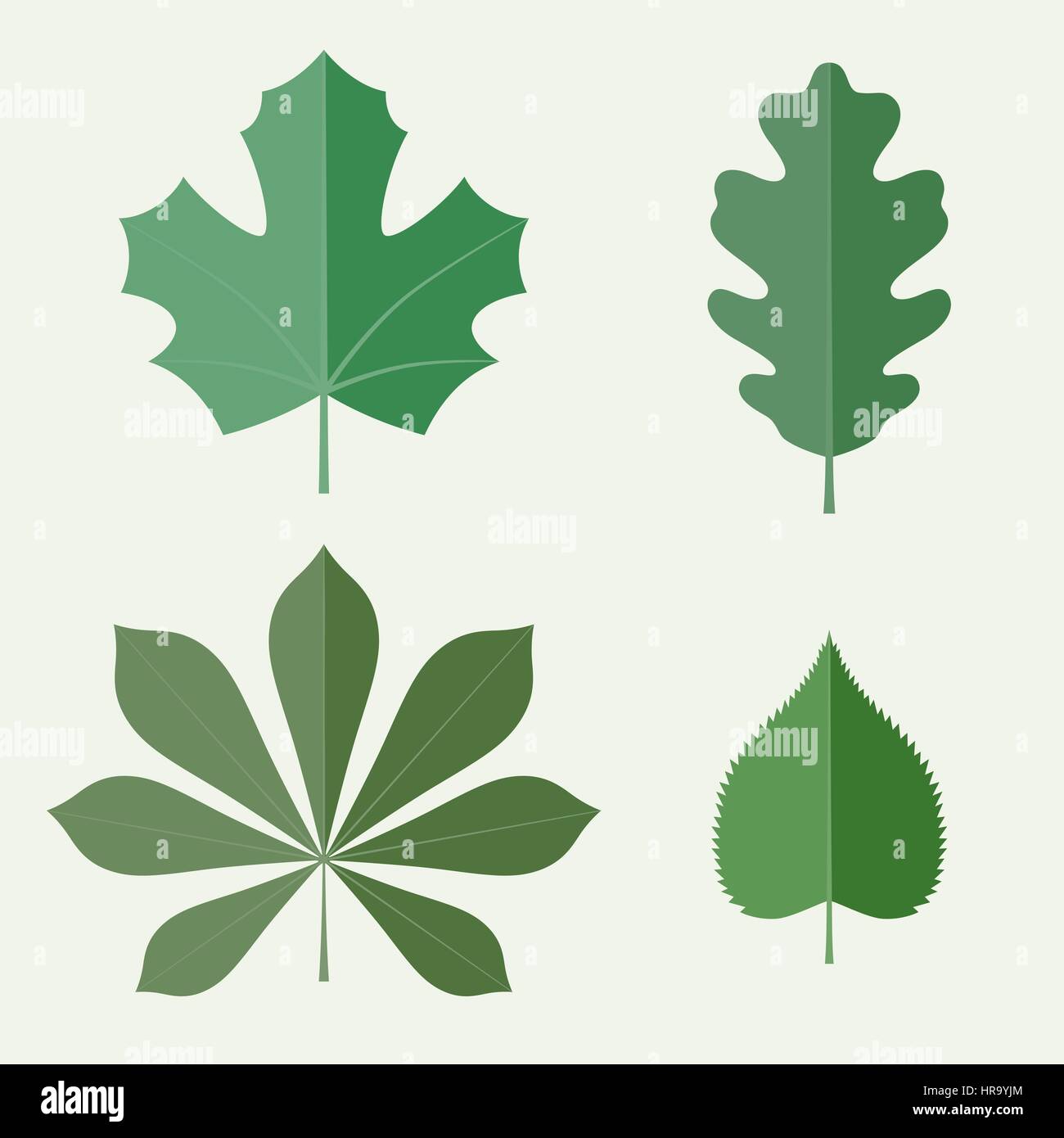 Leaves Stock Vector Images - Alamy