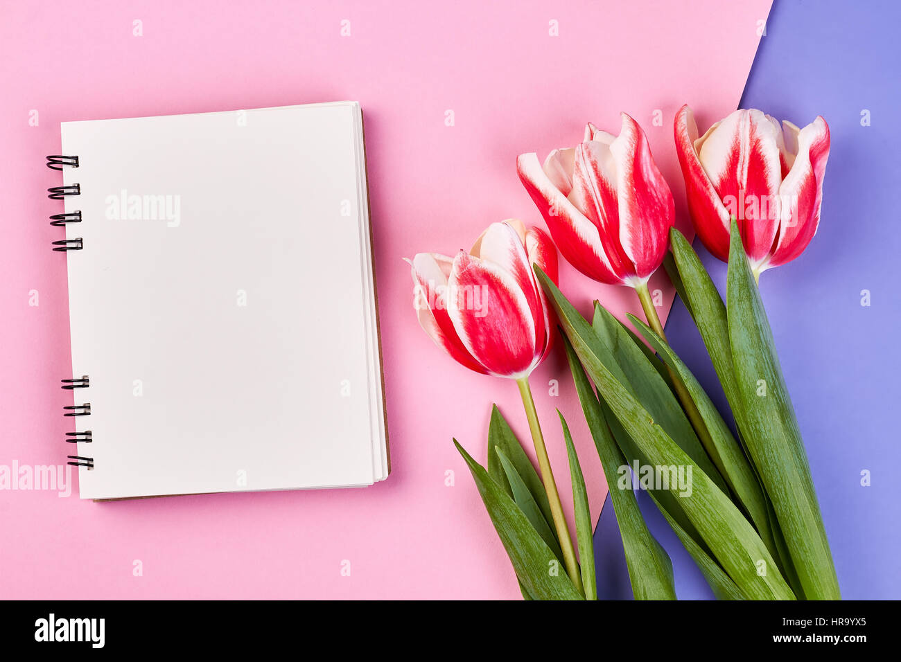 Empty notebook and red flowers Stock Photo - Alamy