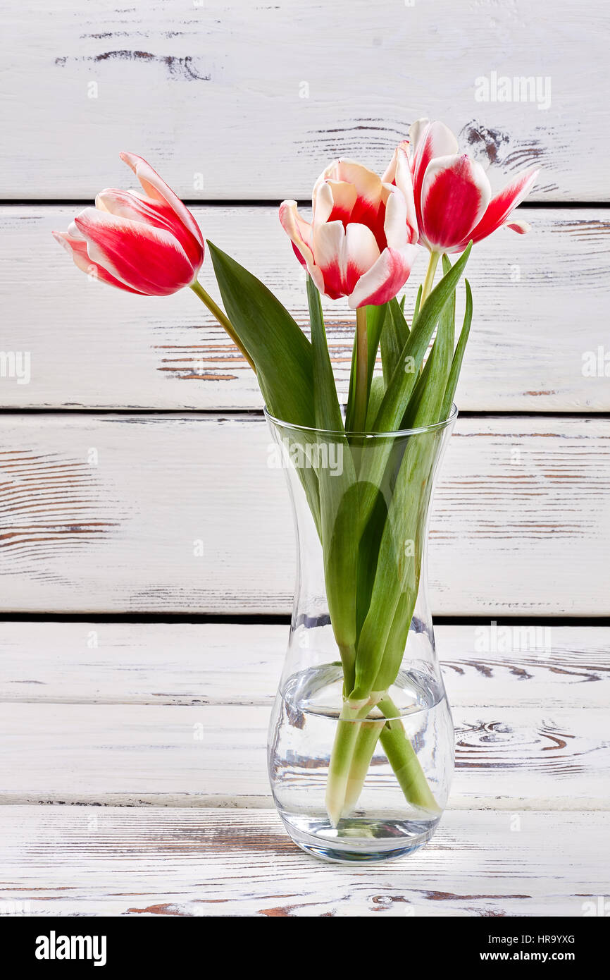 Vase of spring flowers hi-res stock photography and images - Alamy