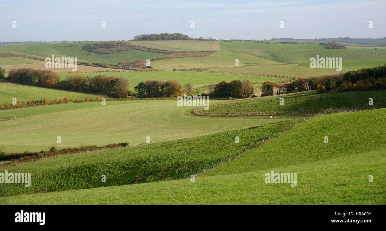 Barbury castle estate hi-res stock photography and images - Alamy