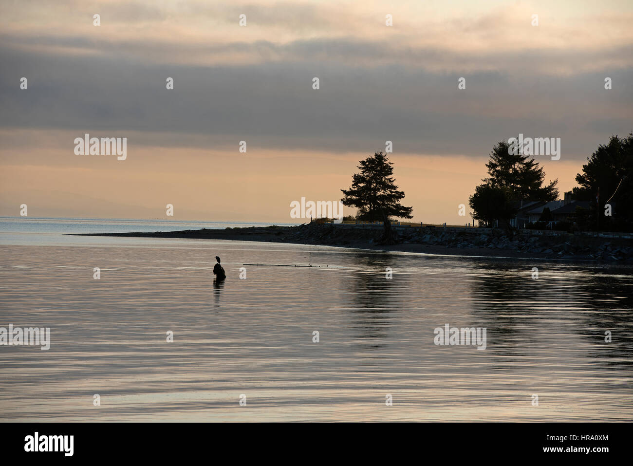 Englishman River Estuary at Surfside Bay flowing into the ocean at the ...