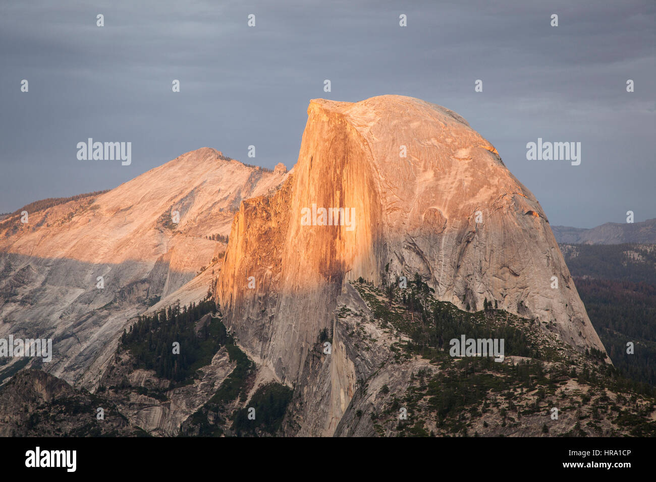 Majestic national symbol hi-res stock photography and images - Alamy