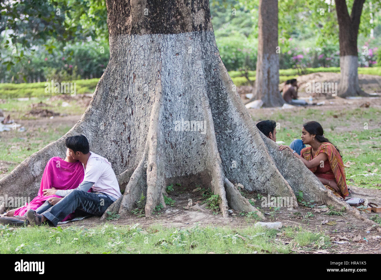 Tree hugging india hi-res stock photography and images - Alamy
