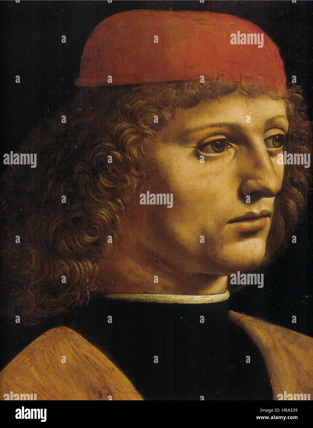 Ritratto di musico hi-res stock photography and images - Alamy