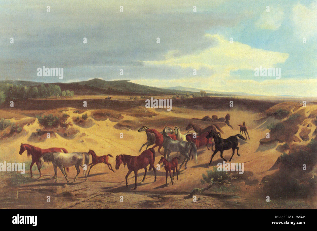 Senner hi-res stock photography and images - Alamy