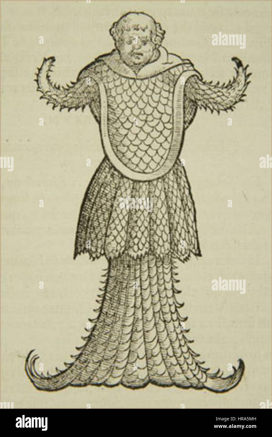 Sea monk drawing hi-res stock photography and images - Alamy