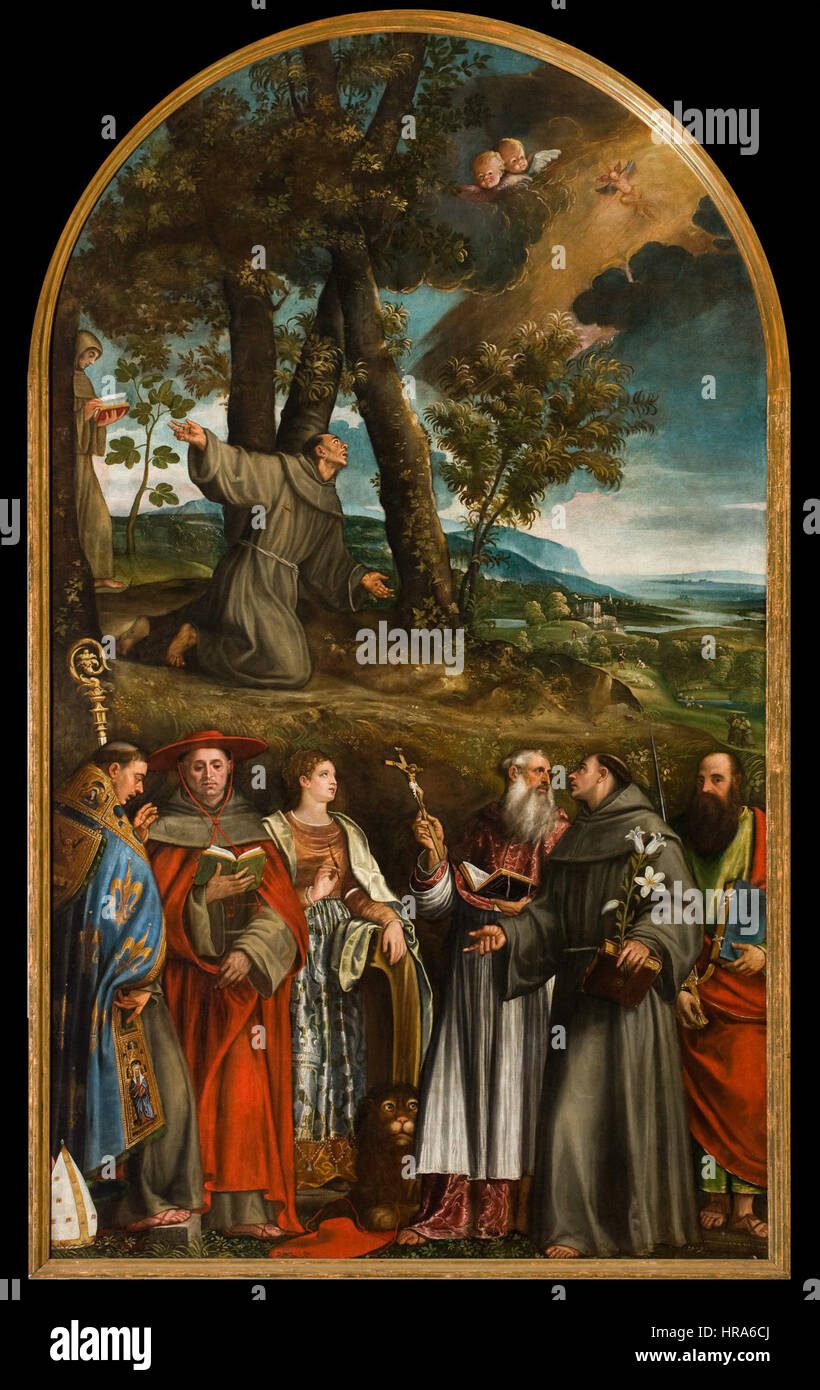 Le stigmate hi-res stock photography and images - Alamy