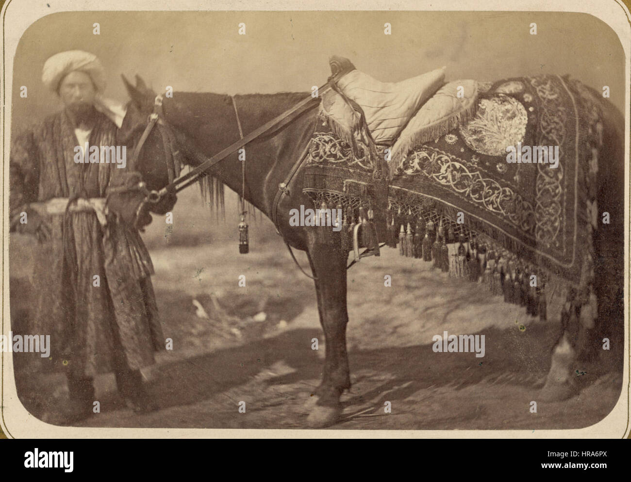 Saddle Gear of Central Asians WDL10875 Stock Photo - Alamy