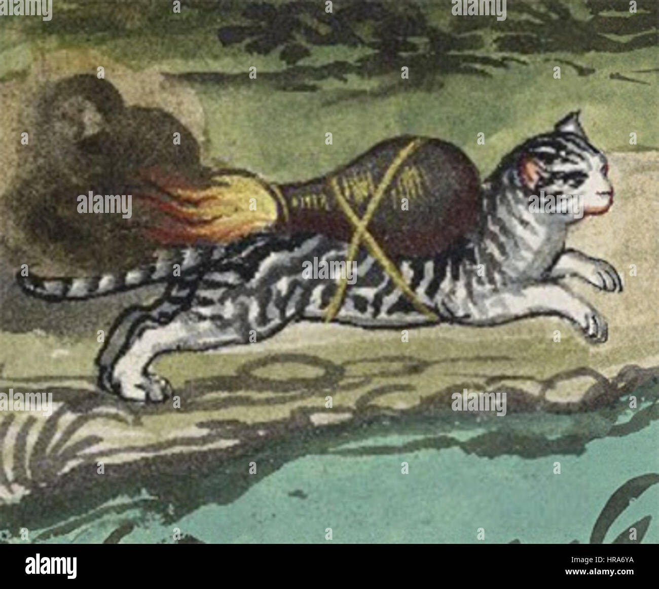 Rocket cat cropped Stock Photo - Alamy