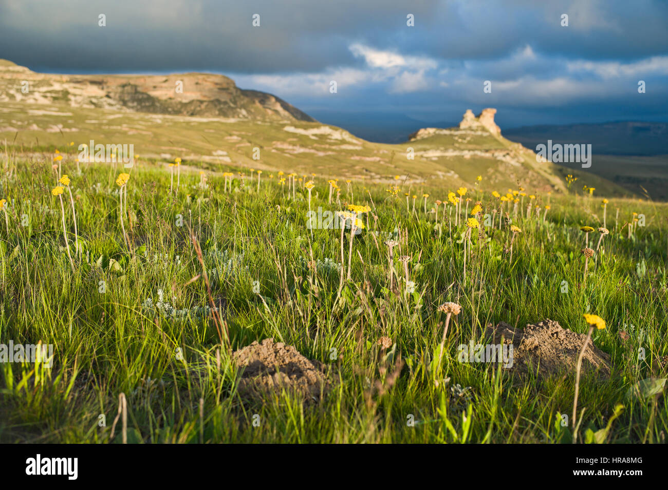 The high grasslands of Golden Gate Highlands National Park in the Free ...