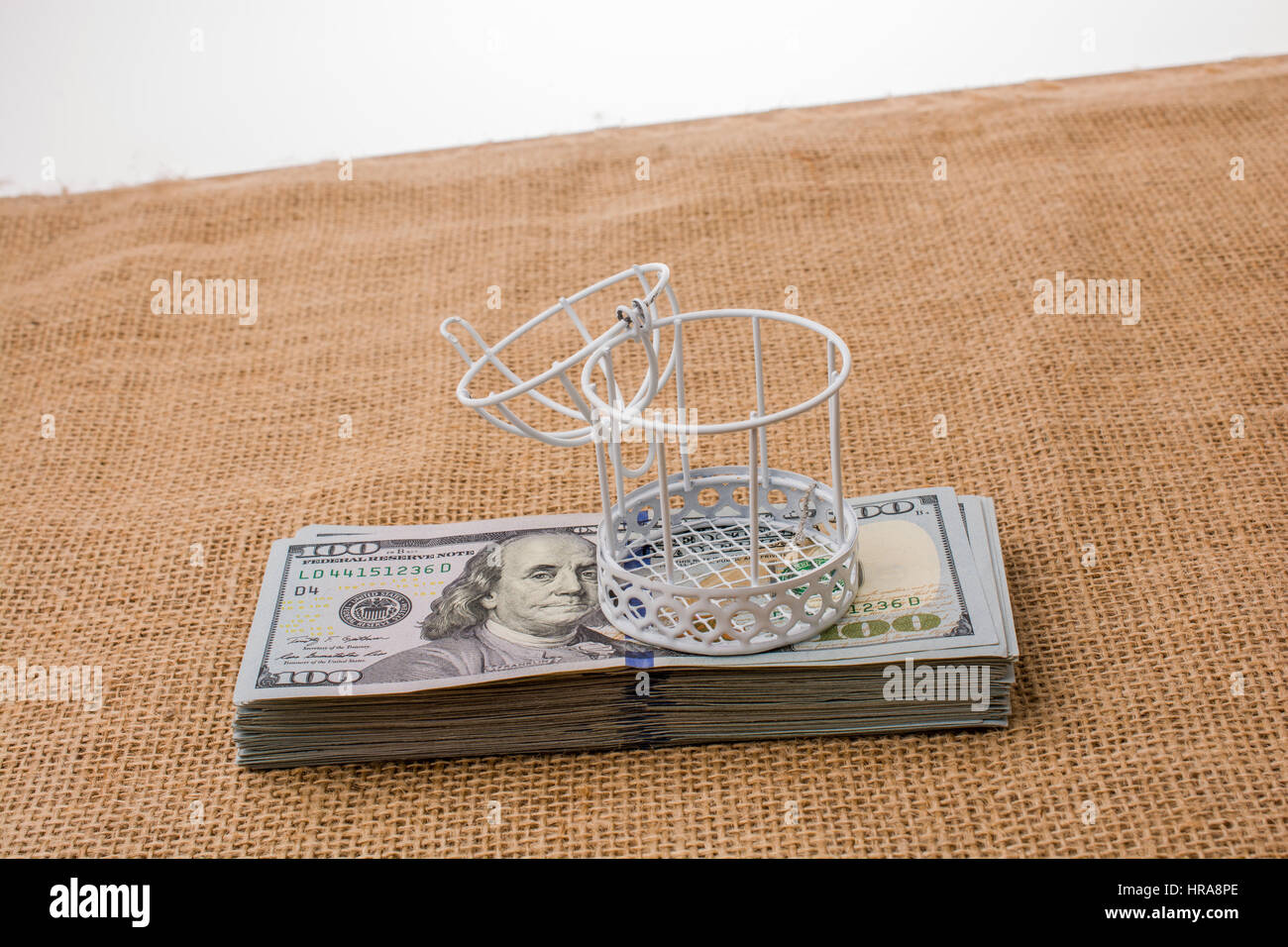 Birds cage placed on bundle of US dollar banknote Stock Photo - Alamy