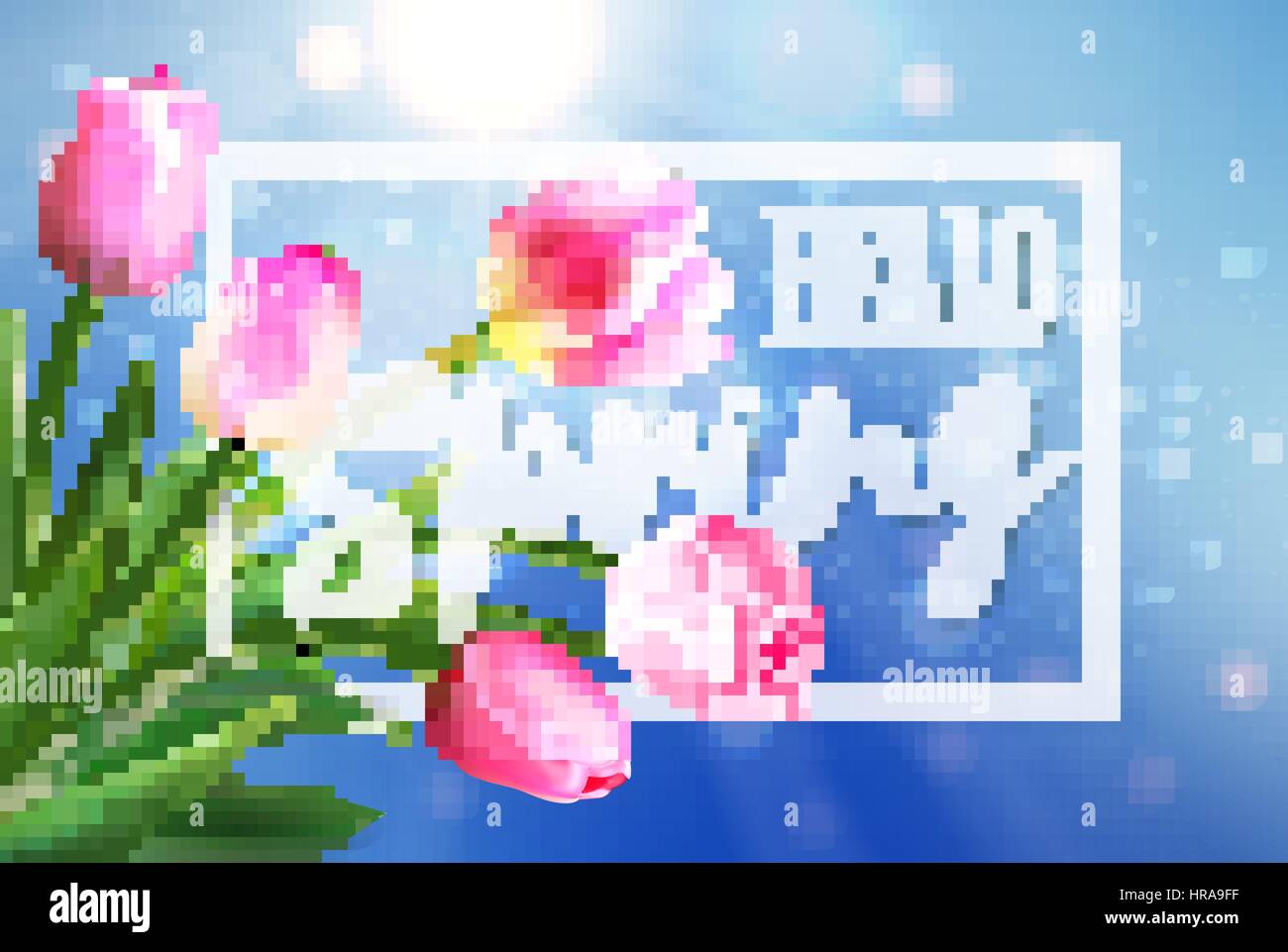 Hello spring banner. Greeting card background. Tulip flowers and ...