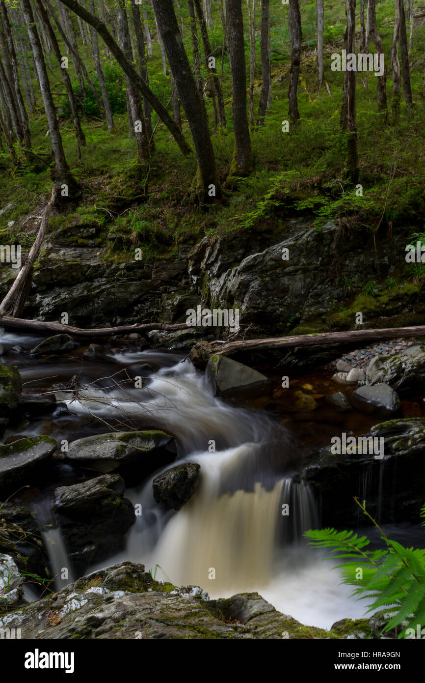 Scotland, Flowing Water In Forest Near Comrie, Long Exposure Stock ...