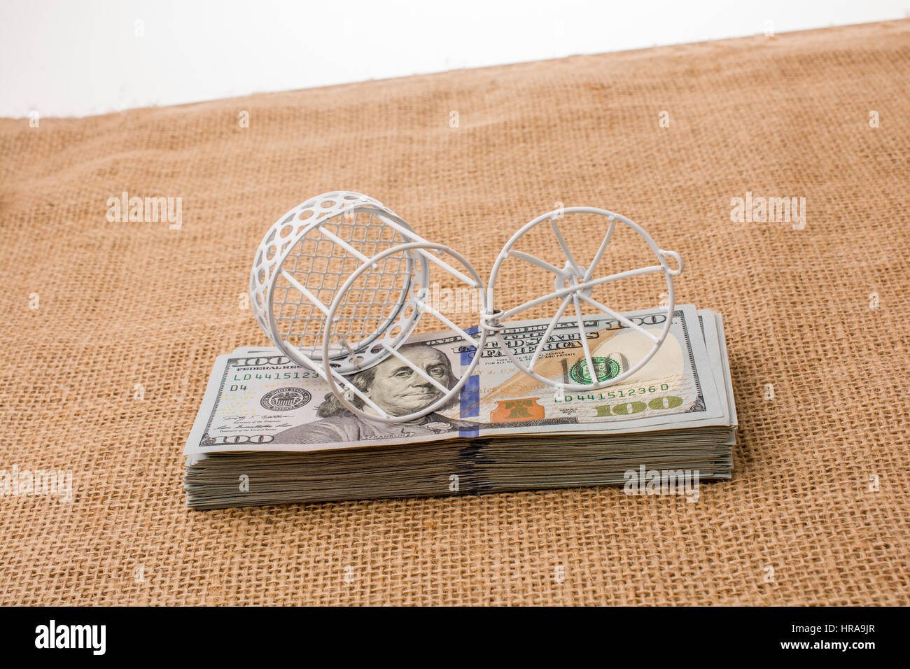 Birds cage placed on bundle of US dollar banknote Stock Photo - Alamy