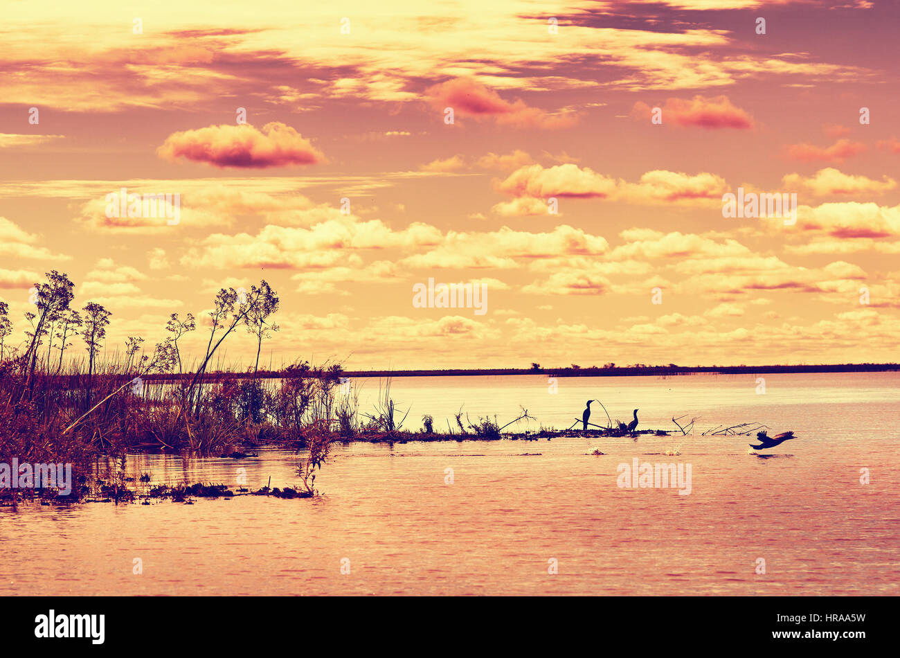 NATIONAL PARK ESTEROS DEL IBERA, CORRIENTES, ARGENTINA - NOV 25, 2014 ...