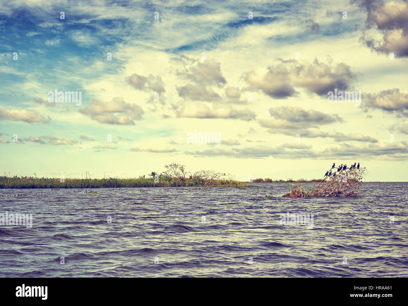 NATIONAL PARK ESTEROS DEL IBERA, CORRIENTES, ARGENTINA - NOV 25, 2014 ...