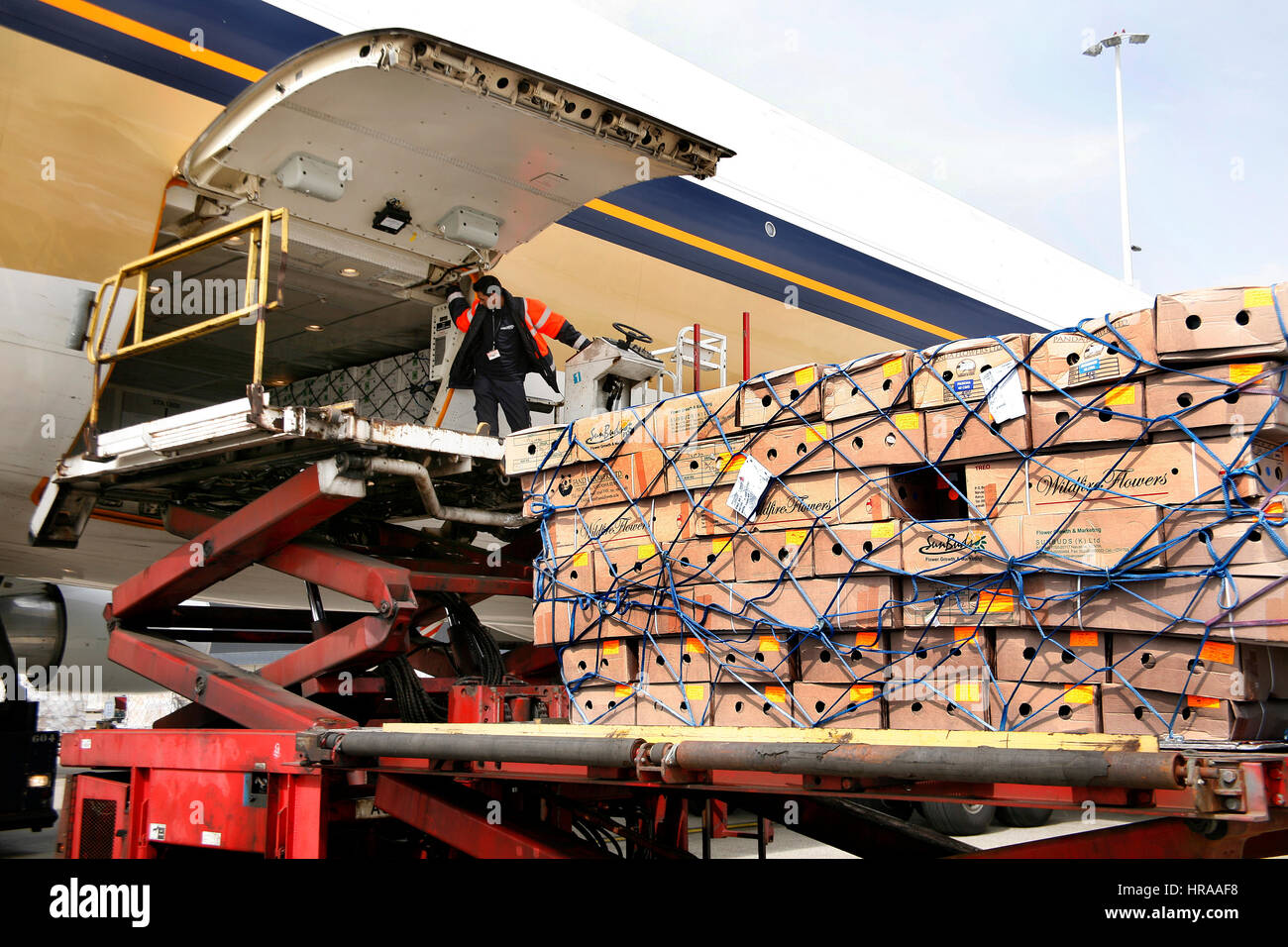 cargo planes being loaded at schiphol airport Stock Photo - Alamy