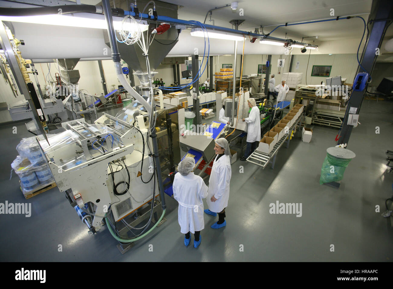 cheese factory in the netherlands Stock Photo - Alamy