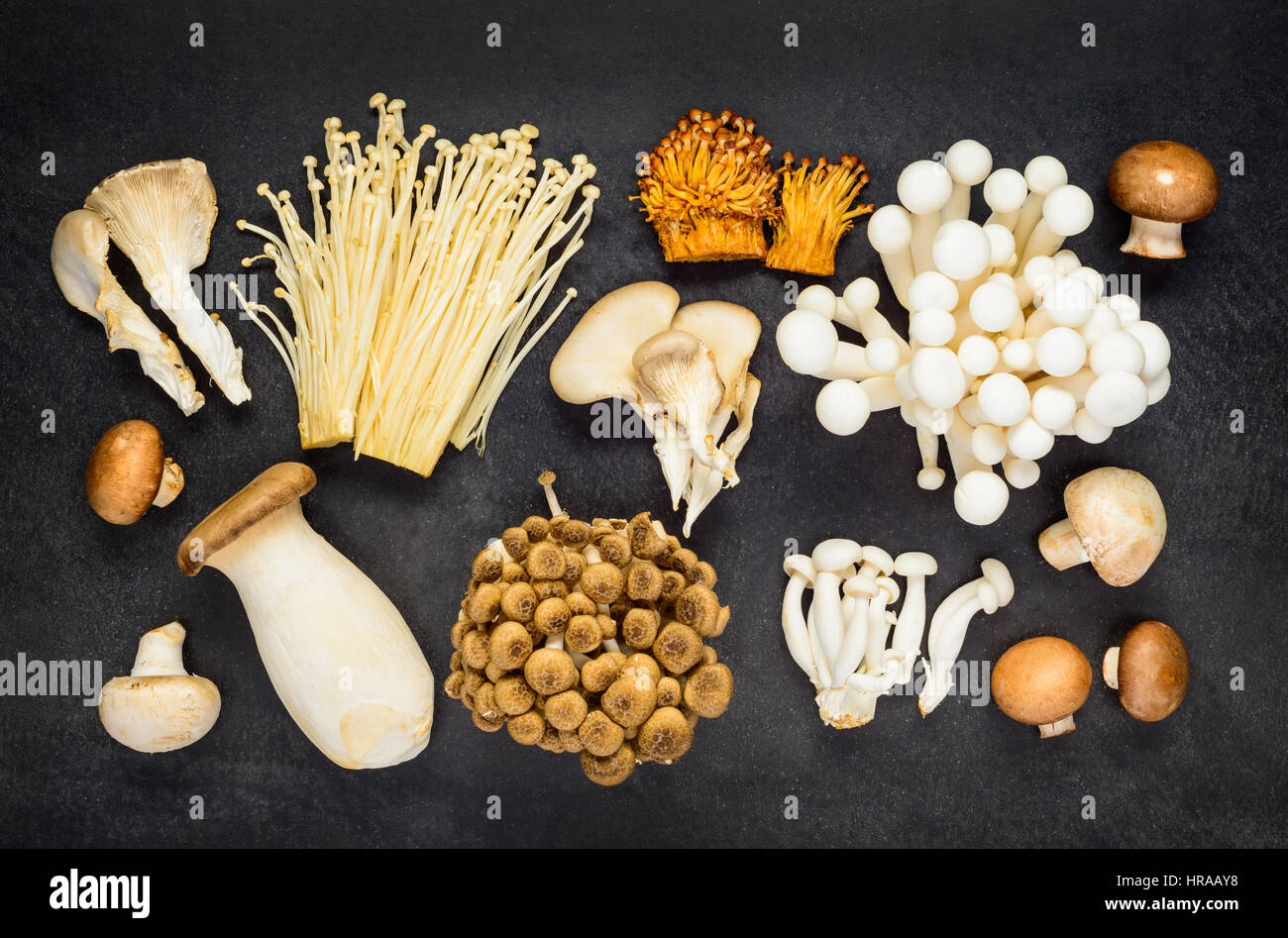 Diferent Types of Edible Mushrooms in Top View Stock Photo - Alamy