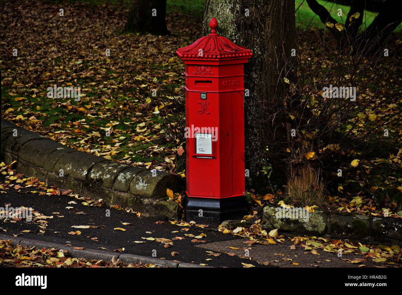 Victorian box tree hi-res stock photography and images - Alamy