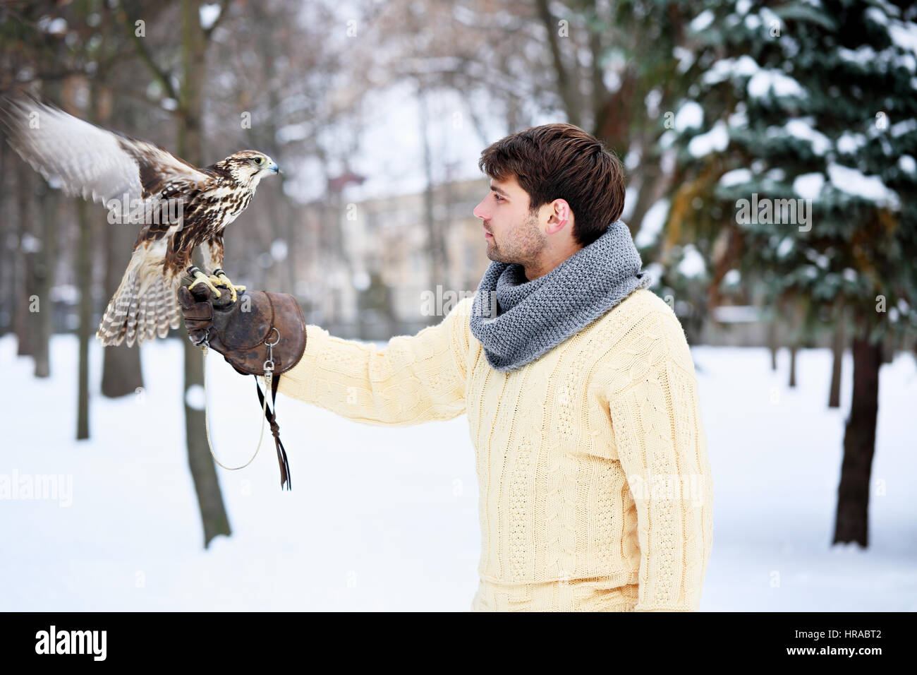 Person holding hawk hi-res stock photography and images - Alamy