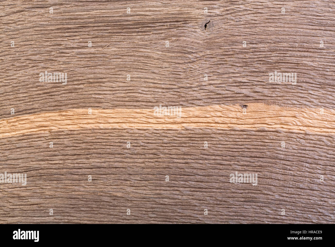 Wood (bog oak) background texture Stock Photo - Alamy