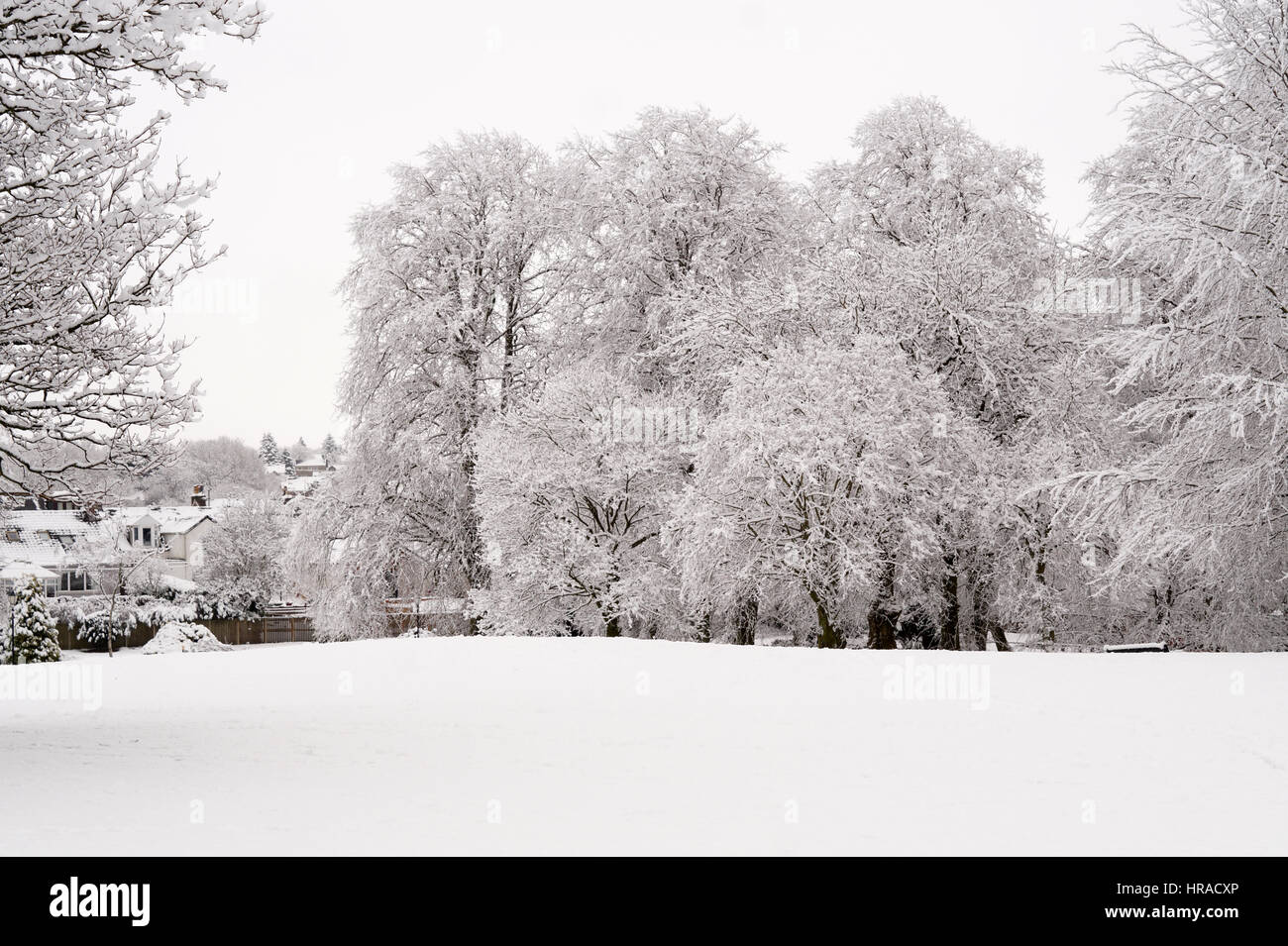 Strathaven castle hi-res stock photography and images - Alamy