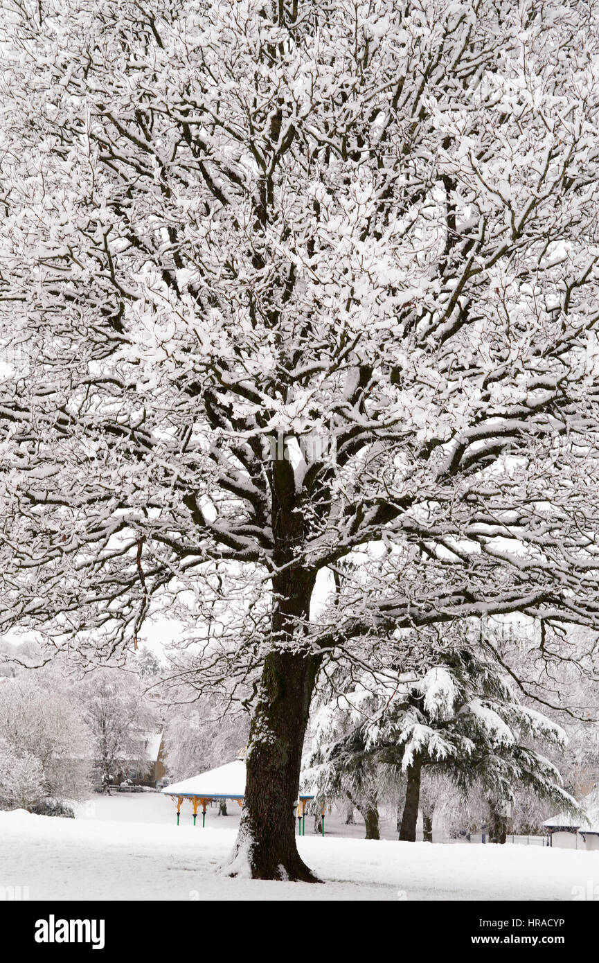 Strathaven park hi-res stock photography and images - Alamy